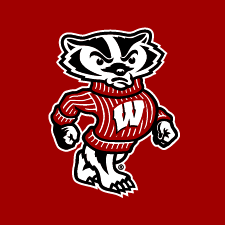 Branding Guidelines: Logos | Wisconsin Athletics Strategic Plan